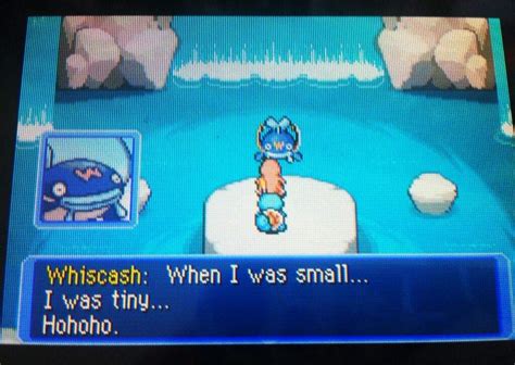 Whiscash Pokémon Amino