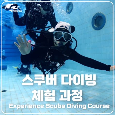 체험 스쿠버 다이빙 Experience Scuba Diving 수원 월드컵 다이빙 풀