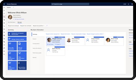 Dynamics 365 Consulting Services D365 Consultant Evolvous