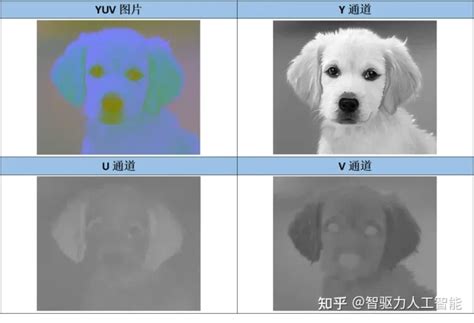 使用c 实现图片的快速的无损压缩和解压缩 c 再次压缩 csdn博客
