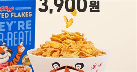 Spc 던킨글로벌 시리얼 브랜드 켈로그와 협업해 빈티지 감성 담은 켈로그 시리얼볼 굿즈 선봬