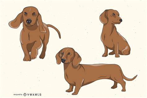 Designs Gráficos Para Camisetas E Merch De Ilustrações De Cachorro