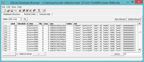 Exporting Data From Couchbase Server