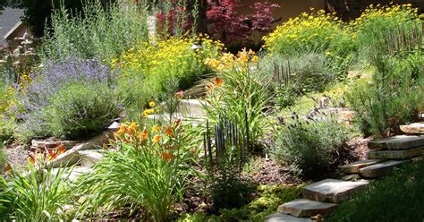 Sustainable Alternatives To Grass Lawns The Sustainable Alternative