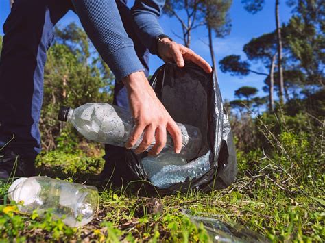 Foraging Without Damaging 7 Rules For Foraging K33 Kitchen