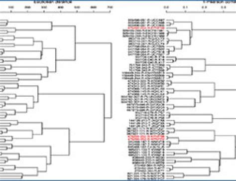 Normalization Of Rna Seq Data Exercises Rna Seq Blog