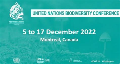绿会国际部征集青年代表参加cbd Cop15第二阶段会议｜加拿大蒙特利尔 知乎