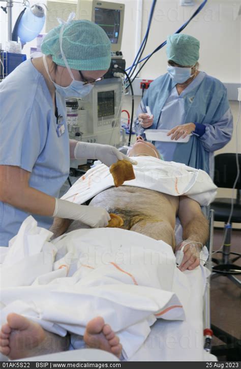 Stock Image Bsip011884048 01ak5s22 Bsip Search Medical