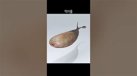 사카밤바스피스 Youtube