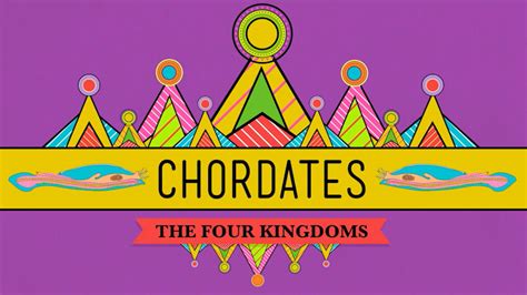 Crash Course Biology Chordates