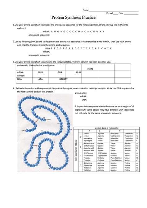 Protein Synthesis Worksheet Answers E