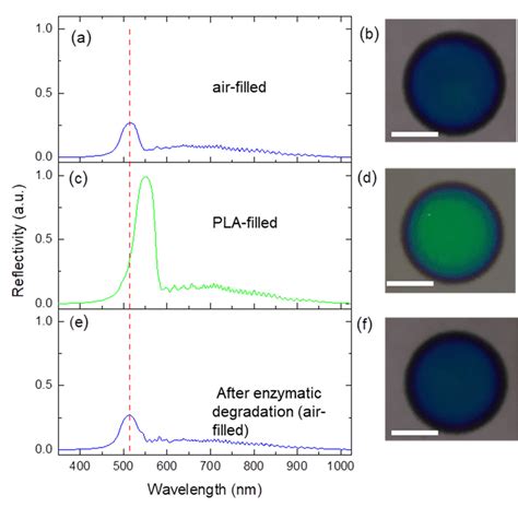 Rifs Spectra And Photographs Of Dried Psirf A B Air Filled Psirf