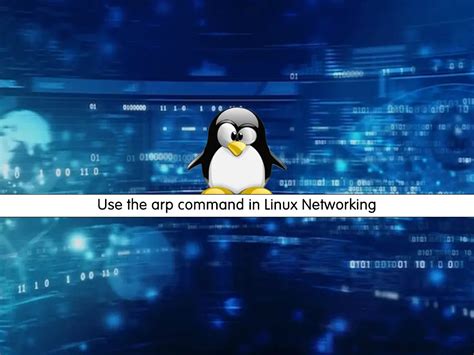 Use Arp Command In Linux Networking In 2 Easy Steps