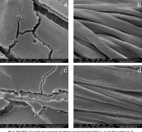 Figure 5 From Structural Coloration Of Chitosan Coated Cellulose