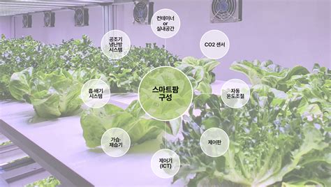 도시농부 스마트팜이란