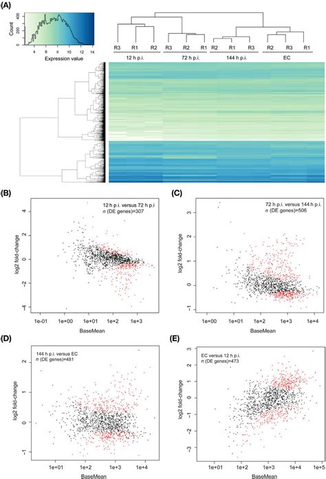 A Euclidean Clustering Of Replicates R 1 3 For All Time Points Download Scientific Diagram
