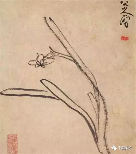 八大山人兰花国画 板桥兰花画图片 大千兰花 第2页 大山谷图库