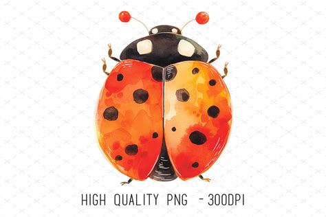 Ladybug Sublimation Clipart Watercolor Graphic By Artcursor · Creative Fabrica