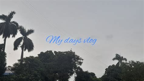My Days Vlog Minivlog Shortvideo Viralvideo Bengalivlog Love
