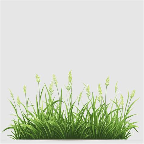 Premium Vector Grass Vector For Your Design