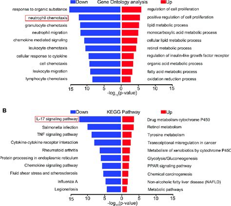 Distinct Transcriptional Signature Between LPS And LPS MCTR1
