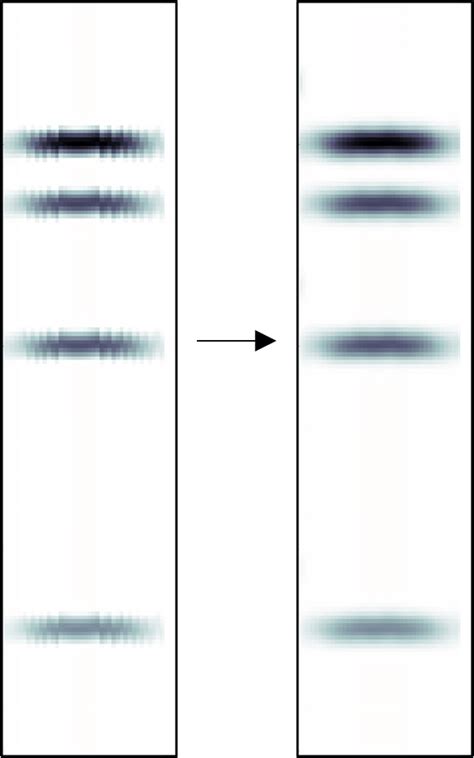 Before And After Applying A Gaussian Blur To A Straightened Sample