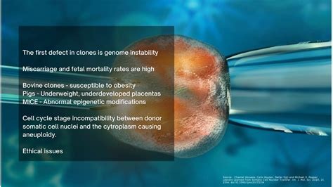 Somatic Cell Cloning Pdf