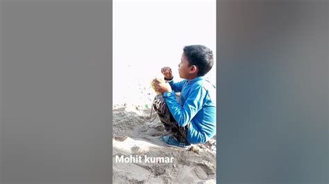 Marina Bich Seen Youtube