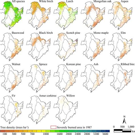 Maps Of Total And Species Level Tree Density In The Forest Region Of Download Scientific