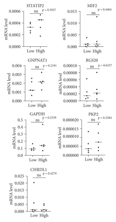 Hande Staining Ihc Staining And Mrna Levels Of Luad Tissue A