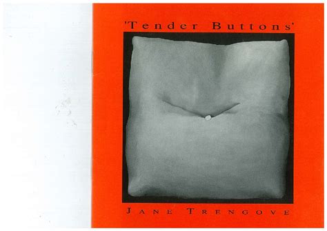 E Sensual Fragments Series Jane Trengove Tender Buttons ACCA