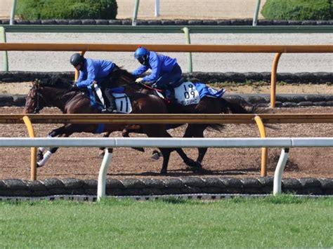 ボッケリーニ、日経賞1週前追い切り速報栗東トレセンニュース 競馬ニュース