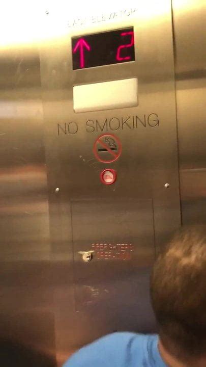 Free Sex In Elevator Porn Videos Xhamster