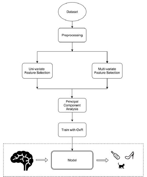 Pipeline Of Techniques Used To Carry Out Fmri Analysis Download