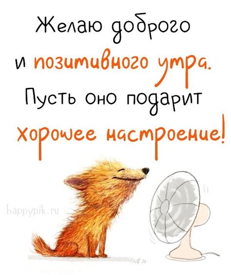 Доброе утро прикольные картинки 👍 100 новых картинок 😄 Доброе утро Юмор о друзьях Юмор о