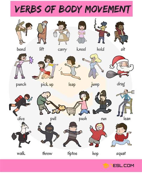 The Words In English Are Used To Describe Body Movements And Their
