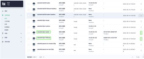 访问 mysql 数据库 radondb dmp 数据库管理平台