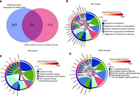 Functional Enrichment Analysis Of The Module Core Genes A Venn