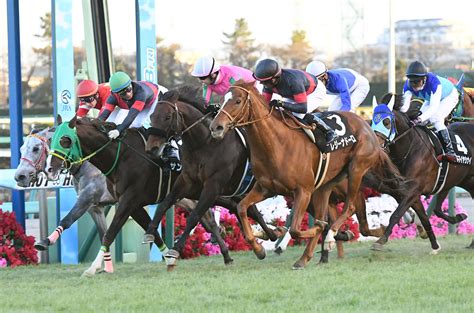 【亀井の土曜競馬コラム・新潟日報賞】 日刊ゲンダイ競馬