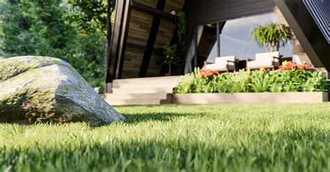 Rendering Grass In Enscape How To Create Realistic Grass In Renders
