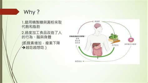 療癒的飲食與斷食 Youtube