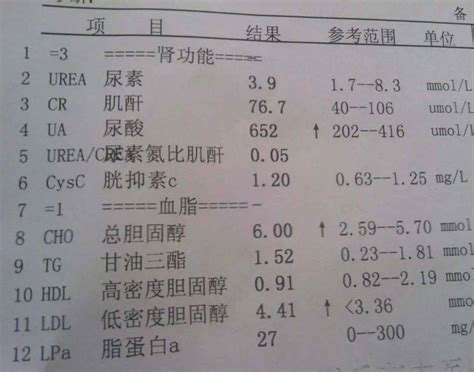 一分钟教你看懂肝肾功能检查 指标