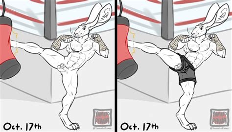 Rule 34 Anthro Balls Bottomwear Clothing Exercise Genitals Gym Hare