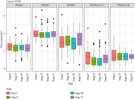 Differential Gene Expression Level Of Ppars In Different Tumor Stages