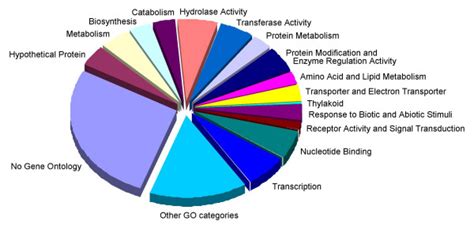 Functional Classification Of Fgas Contigs Containing Ests That Are Over