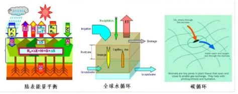 Python与noah Mp陆面过程模型融合技术及在站点、区域模拟 知乎