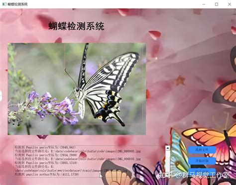 基于改进yolov7的蝴蝶识别系统（源码＆教程） 知乎