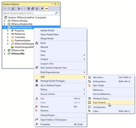 How To Show A Custom Data Bound Control In An XAF View WinForms