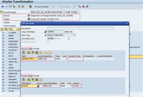 SAP BW BI 7 4 Tutorial 5 Alpha Conversion Routine Scenario