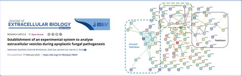 Isev Journals